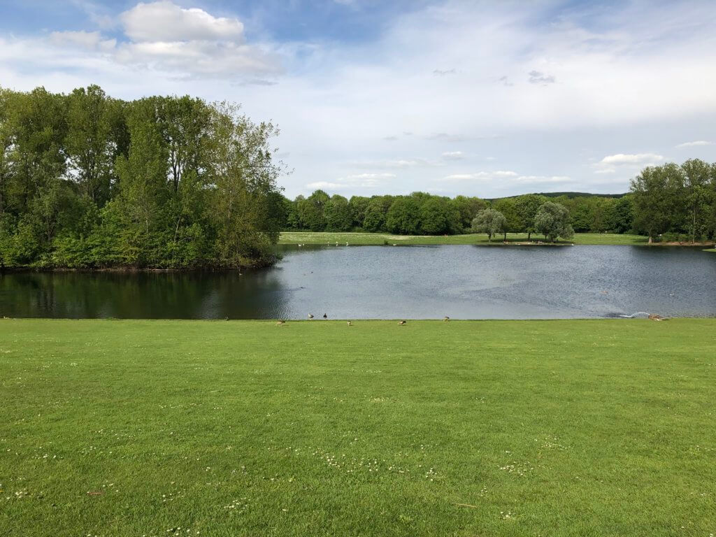 Rheinauenpark / Freizeitpark Rheinaue, Bonn⋆ The Passenger