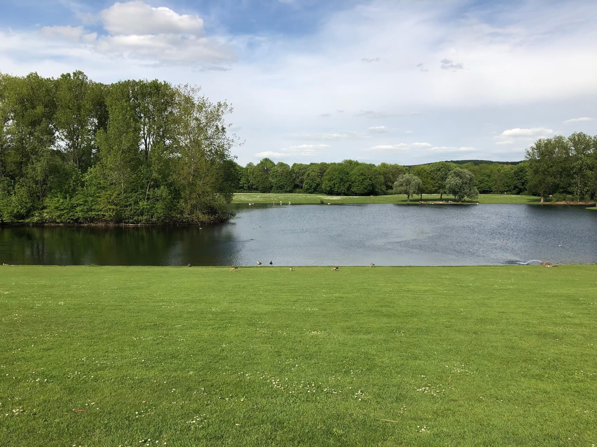 Rheinauenpark / Freizeitpark Rheinaue, Bonn⋆ The Passenger