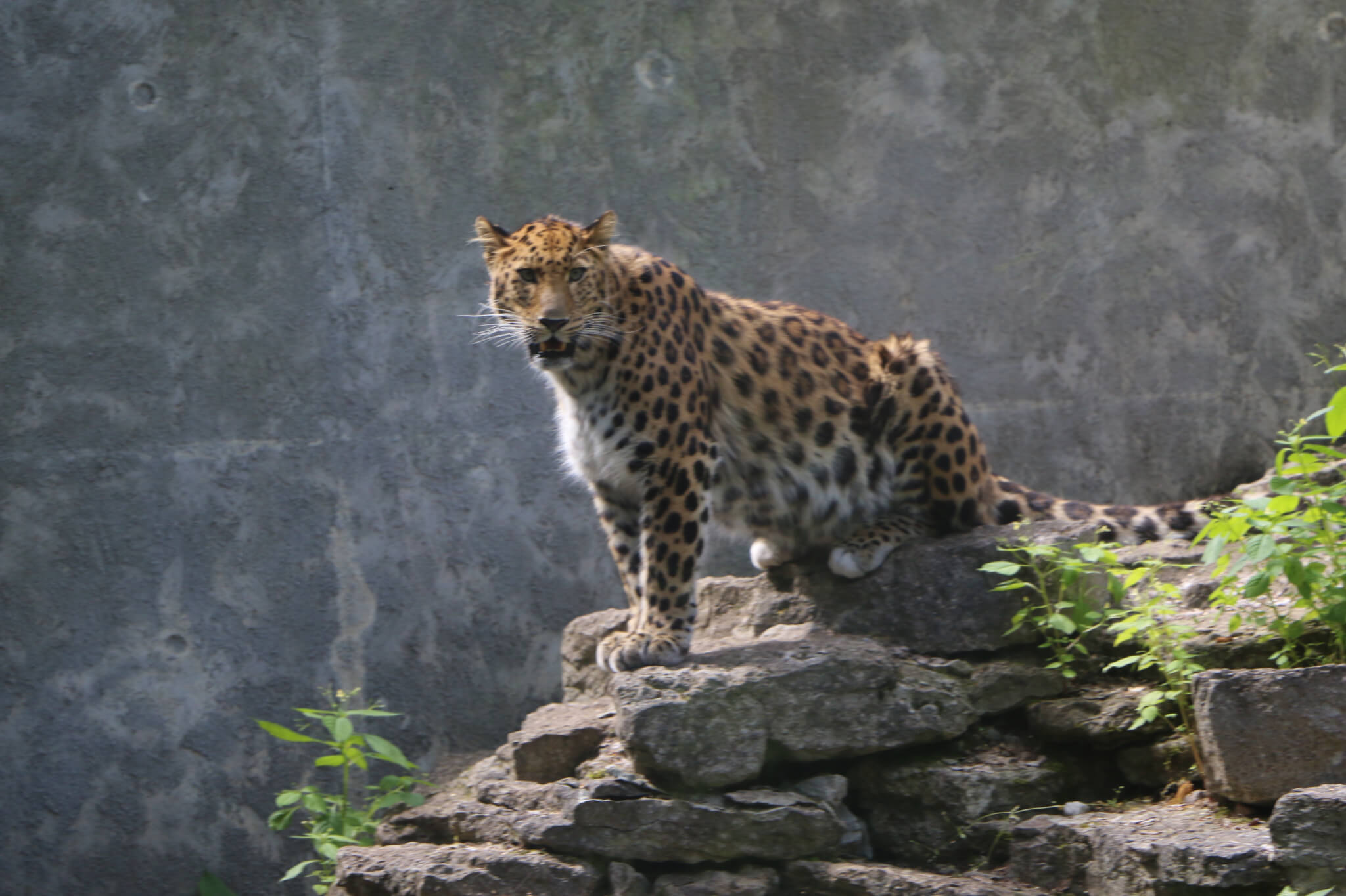 Tallinn zoo / Tallinna Loomaaed, Tallinn ⋆ The Passenger