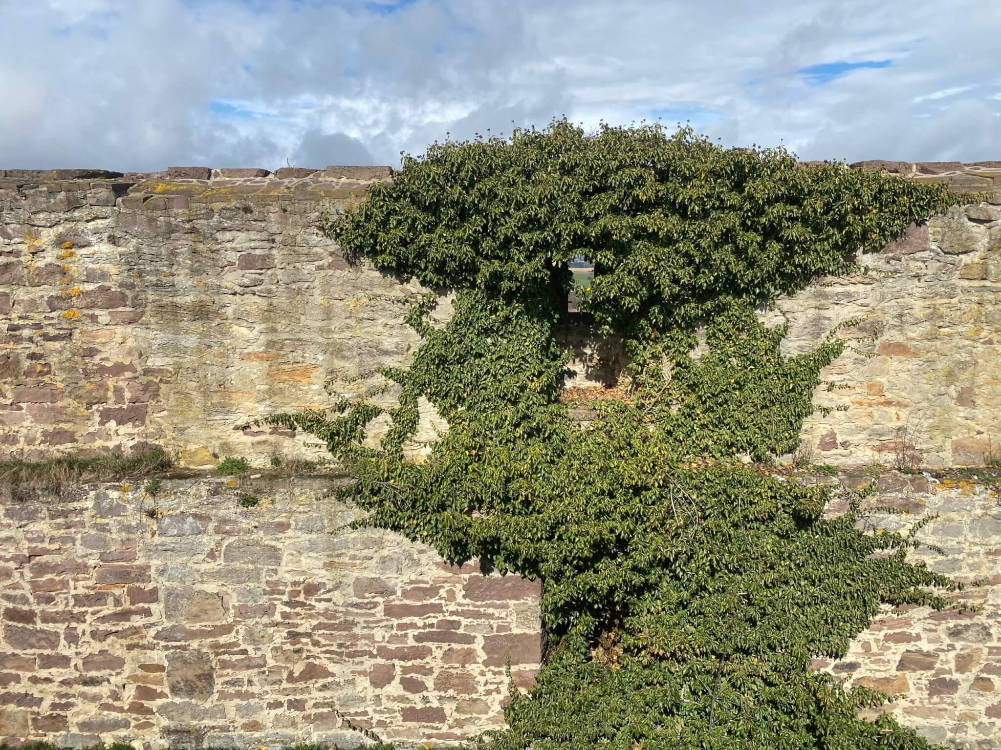 Burg Grebenstein / Climb on top of a castle ruin, Grebenstein ⋆ The ...