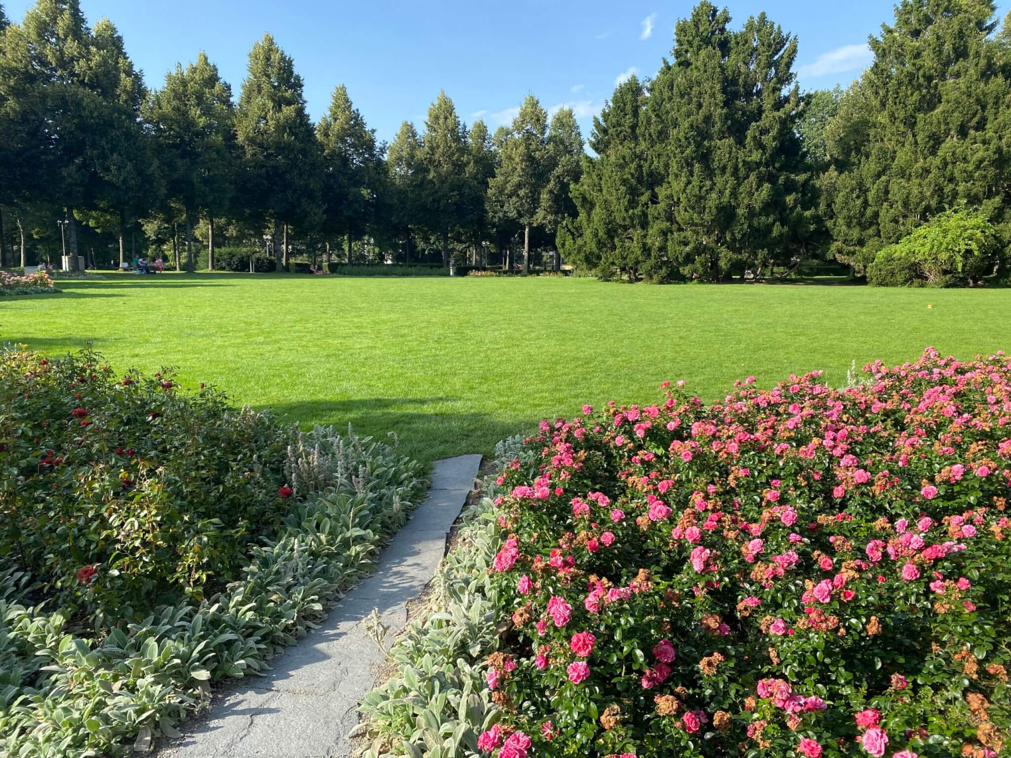 Rosengarten / Best views on bern ⋆ The Passenger