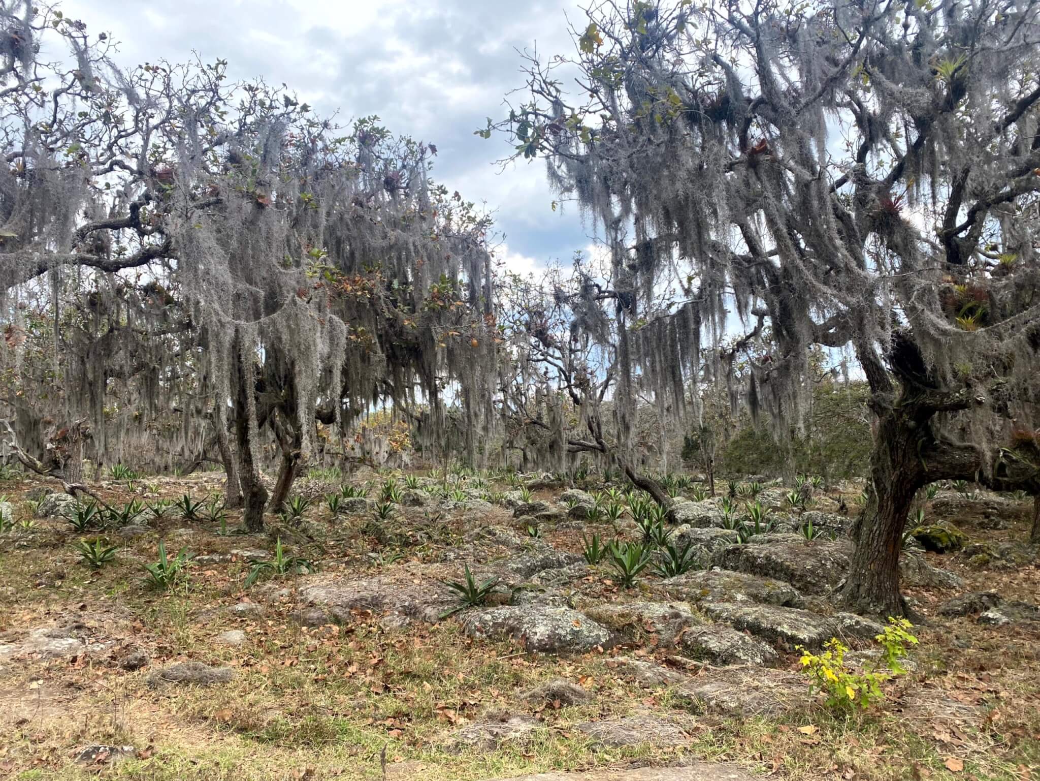 Miraflor / Reserva Natural, Estelí, Nicaragua ⋆ The Passenger