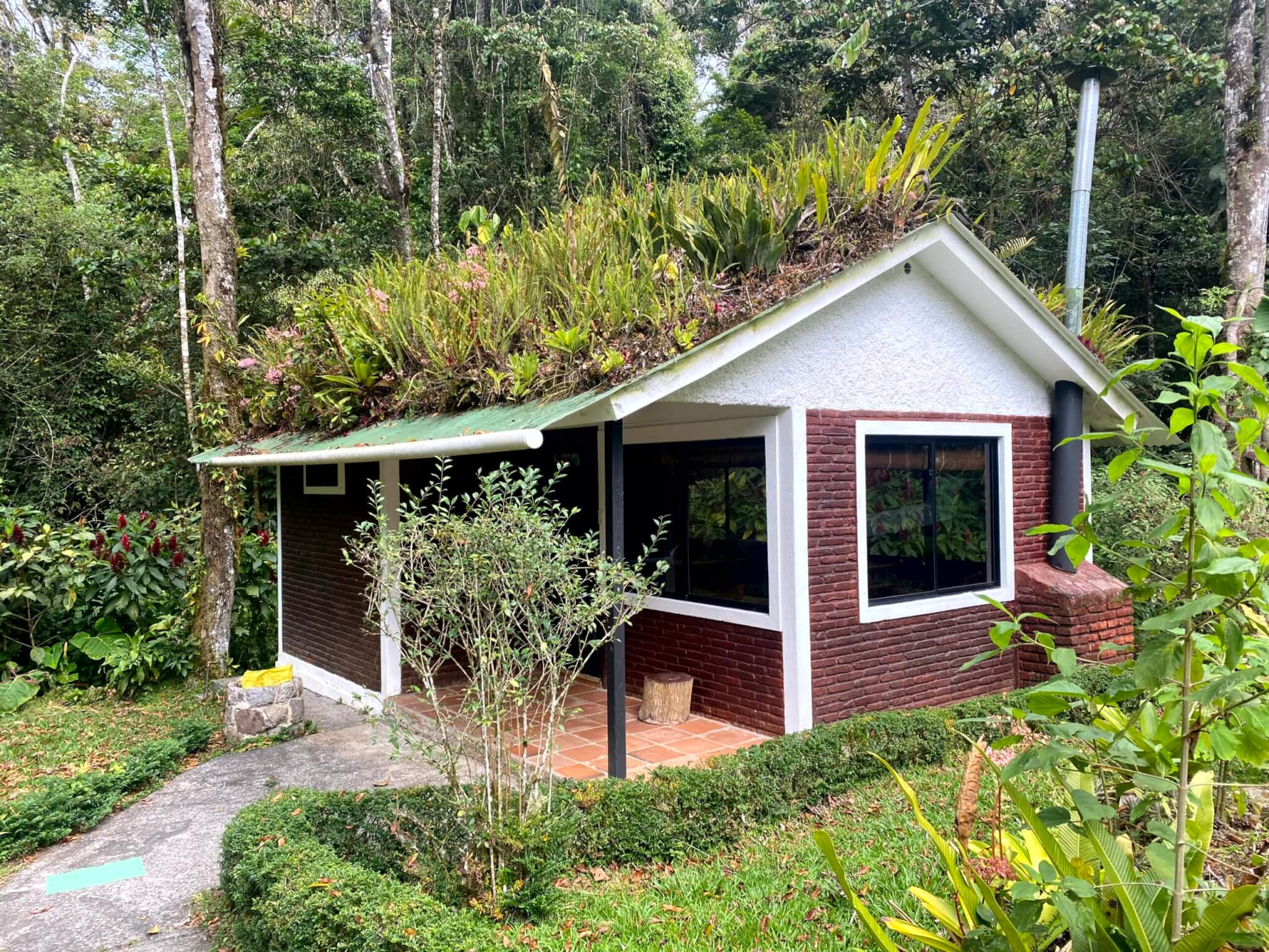 Selva negra / Matagalpa, Nicaragua ⋆ The Passenger